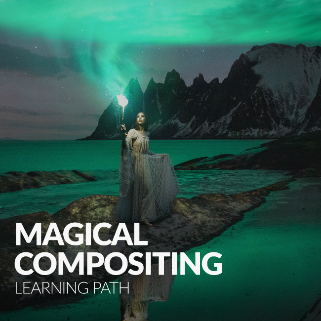 Learning Paths Archives - PHLEARN