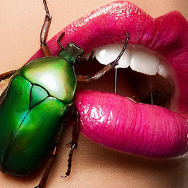 Behind the Scenes: Beetle Beauty - PHLEARN