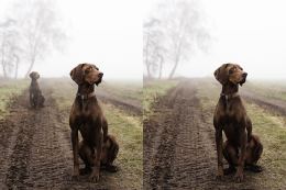 How To Duplicate Anything In Perspective Using Photoshop PHLEARN