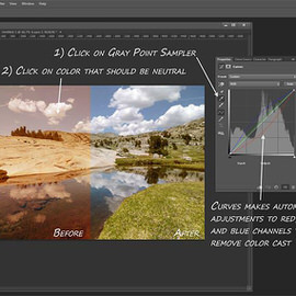 5 Things You Didn’t Know About Curves - PHLEARN