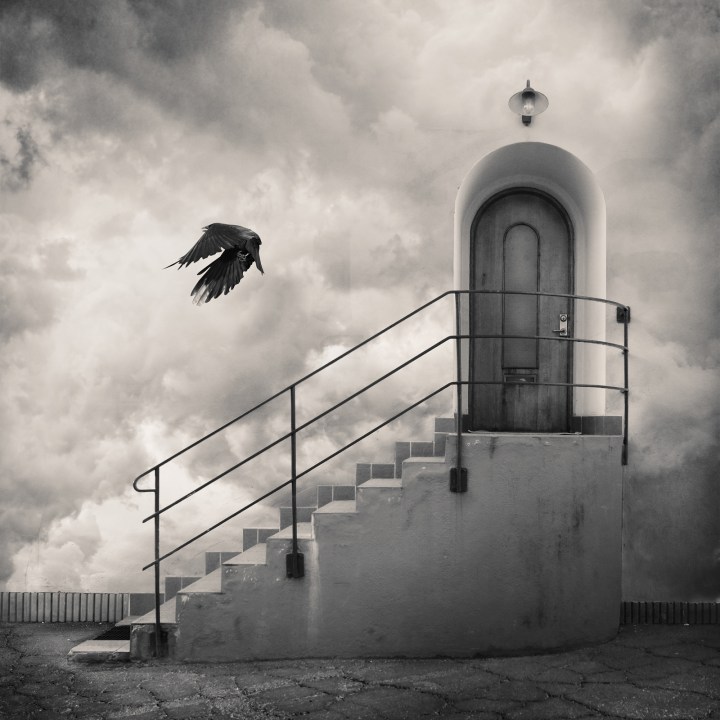 How Visual Artist Tommy Ingberg Perfectly Captures Profound Thoughts ...