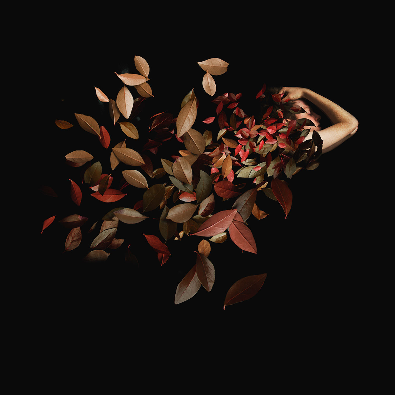 How Seanen Middleton’s iPhone-Lit Long Exposure Became Album Art for a ...