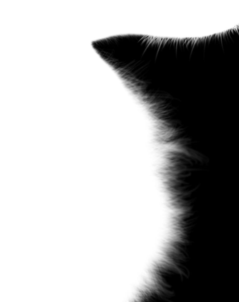 Photoshop Compositing Masking And Cutting Out Subjects Phlearn