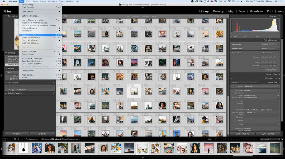 How to Create a Photo Mosaic in Lightroom & Photoshop Complete Guide