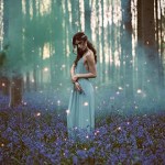 Graphics Text Learning Path Phlearn