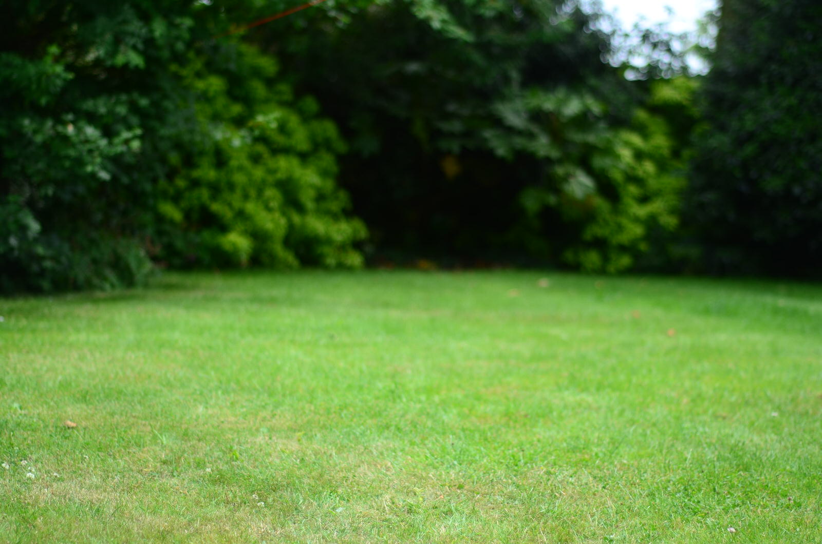 The Story Behind This Viral Invisible Girl Photo by Laura Williams