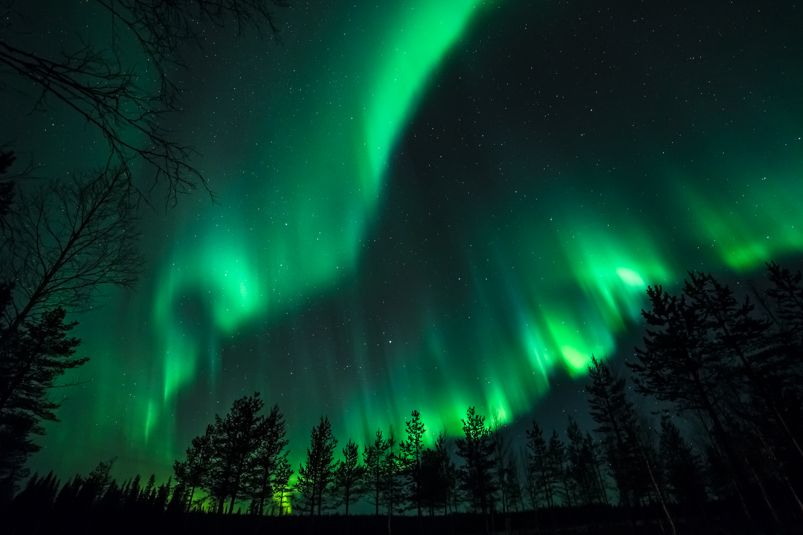 How Ryan Heffron Perfectly Timed the Milky Way Over a Field of Blooming ...