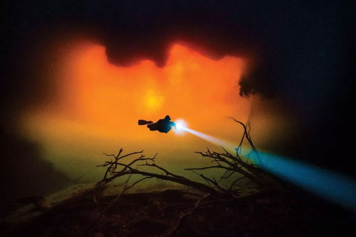 Scuba Diving Magazine’s 2018 Underwater Photo Contest Winners Dive Into ...