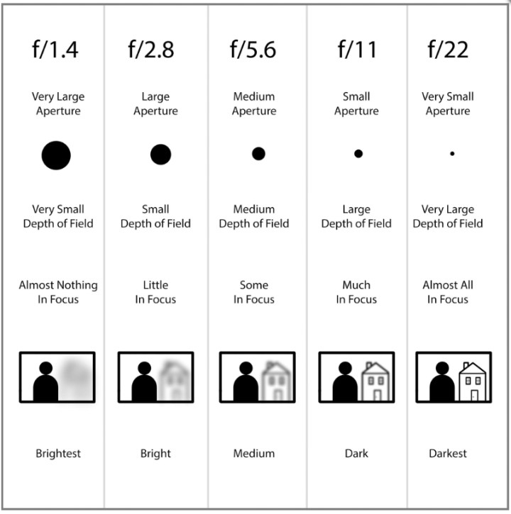 Create Bokeh in Your Photography [Video tutorial + Examples]