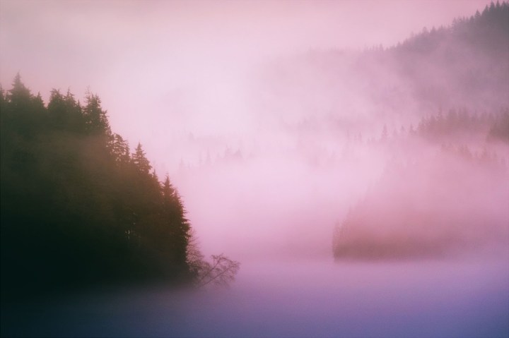 The Story Behind This Viral Invisible Girl Photo by Laura Williams