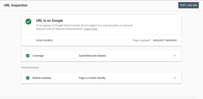 The Basics of Search Engines and Why You Should Care