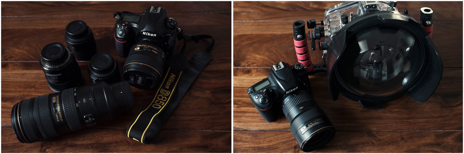 Anne Geier’s Necessary Equipment for Shooting Captivating Pet Portraits