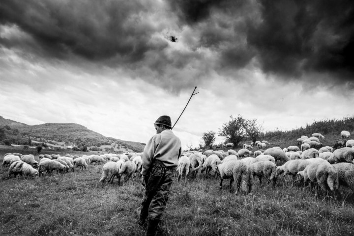 10 Outside-the-Box Techniques to Make Everyday Photos Epic