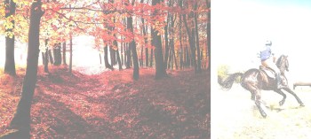 Mastering Shutter Speed to Capture and Freeze Motion