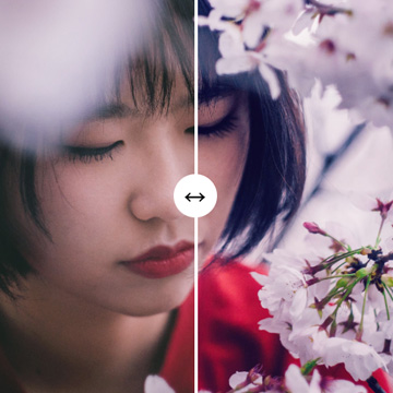 How to Master LUTs for Photo & Video - PHLEARN