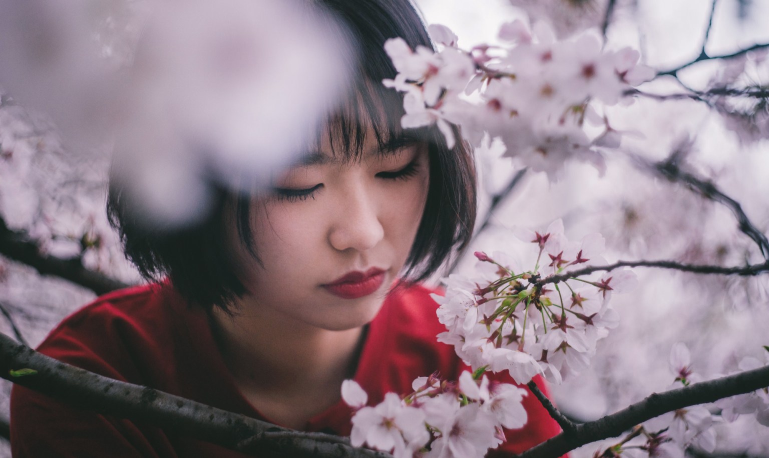 How to Master LUTs for Photo & Video - PHLEARN