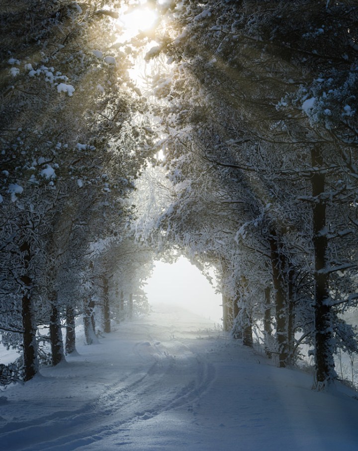 Light Rays Photoshop Action - PHLEARN