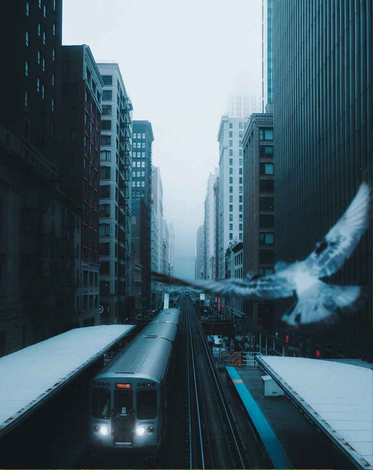 How to Composite Images on Your Phone with Elise Swopes - PHLEARN