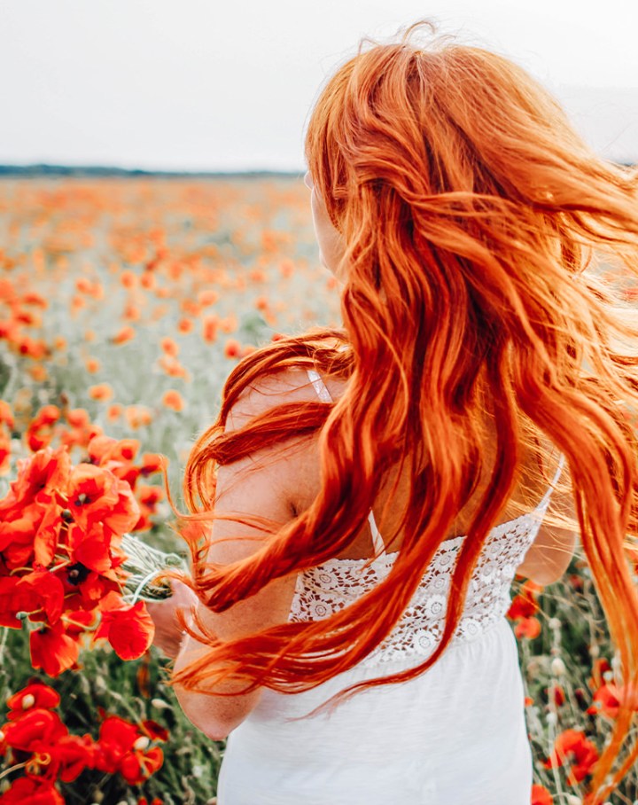 Bold & Vibrant Lightroom Presets for Classic & Mobile - PHLEARN