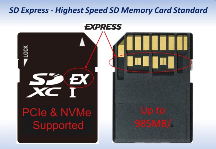 SD Express vs. CFexpress: Which Memory Card Format Do You Need?