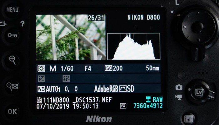 Histograms: How to Read Them and Use Them to Take Better Photos