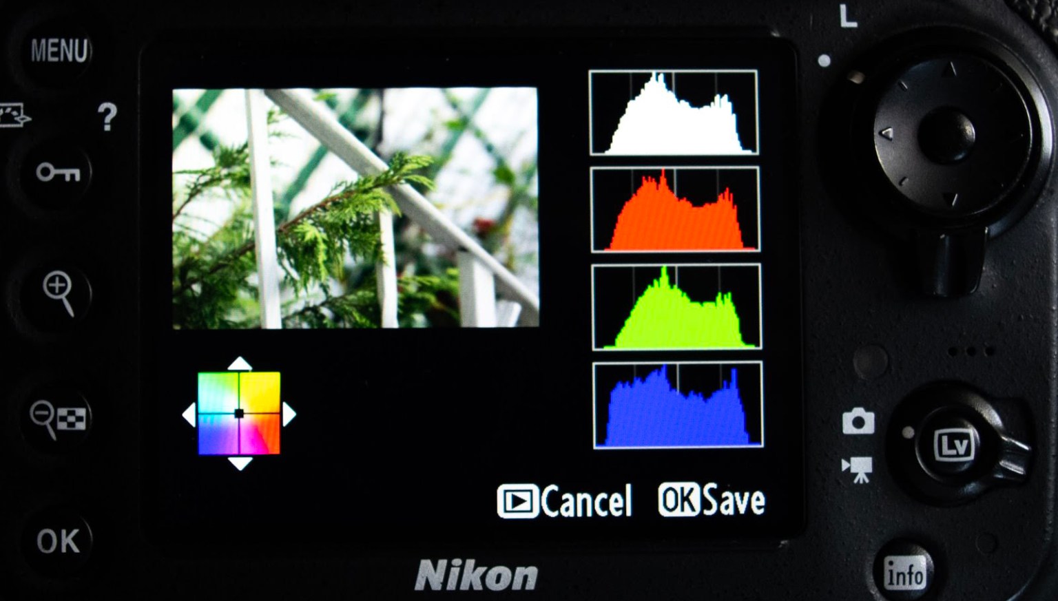 Histograms: How to Read Them and Use Them to Take Better Photos