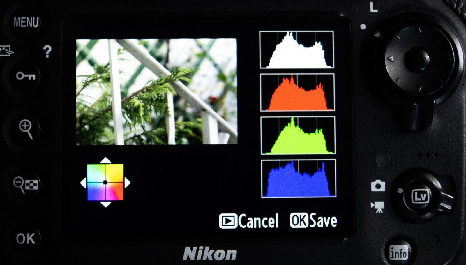 Histograms: How to Read Them and Use Them to Take Better Photos