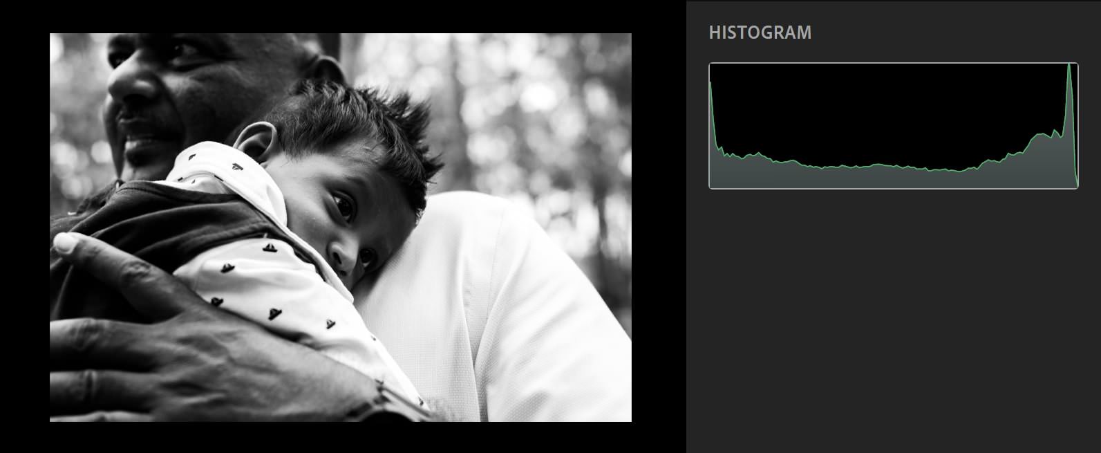 Histograms: How to Read Them and Use Them to Take Better Photos