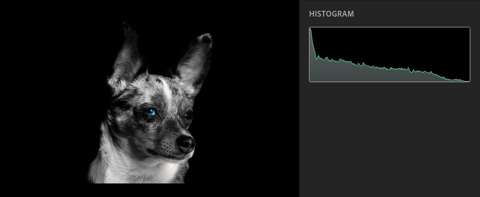 Histograms: How to Read Them and Use Them to Take Better Photos