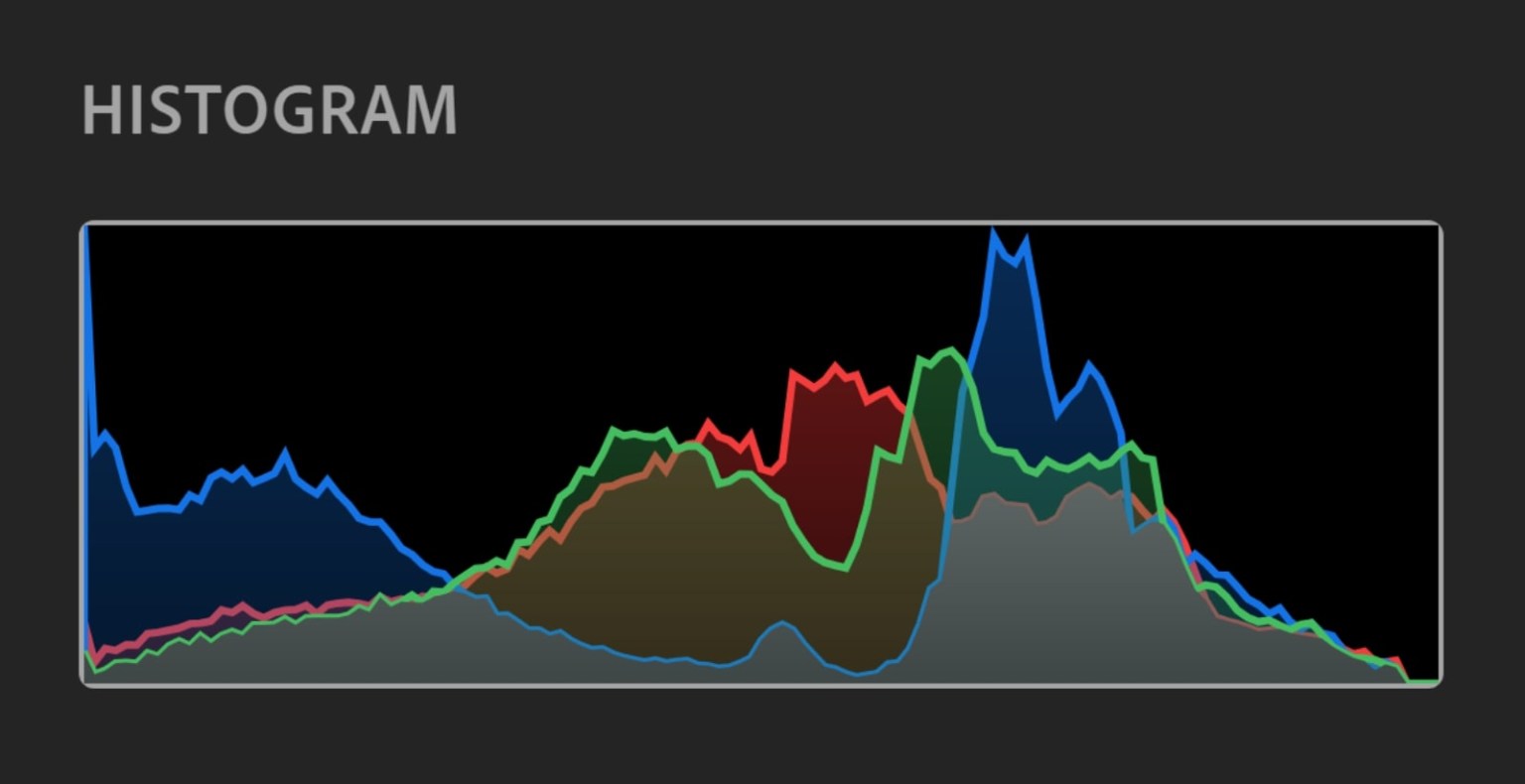Histograms: How to Read Them and Use Them to Take Better Photos