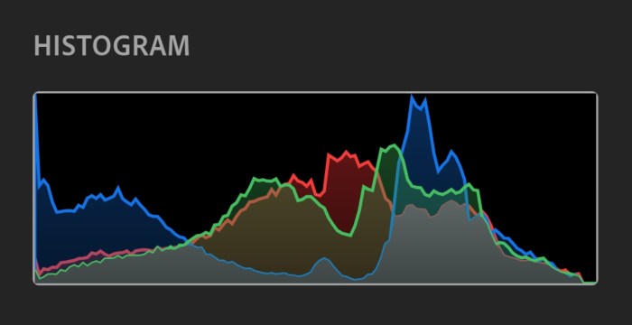Histograms: How to Read Them and Use Them to Take Better Photos