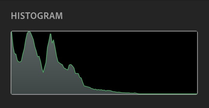 Histograms: How to Read Them and Use Them to Take Better Photos