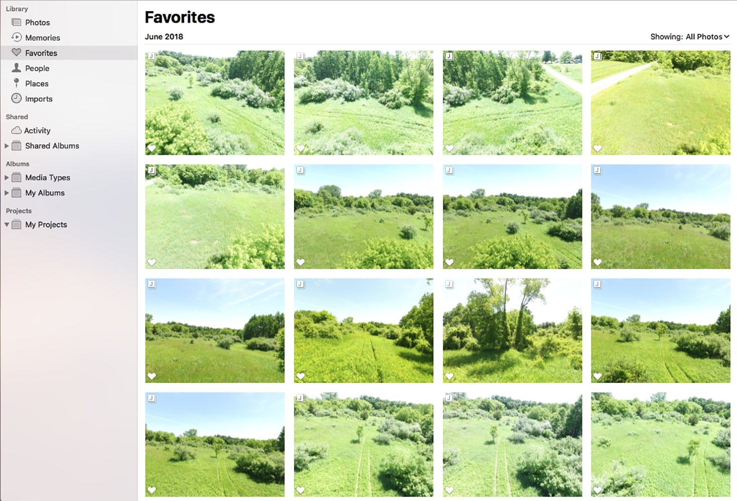 How To Keep Your Digital Photos Stored and Organized for Good