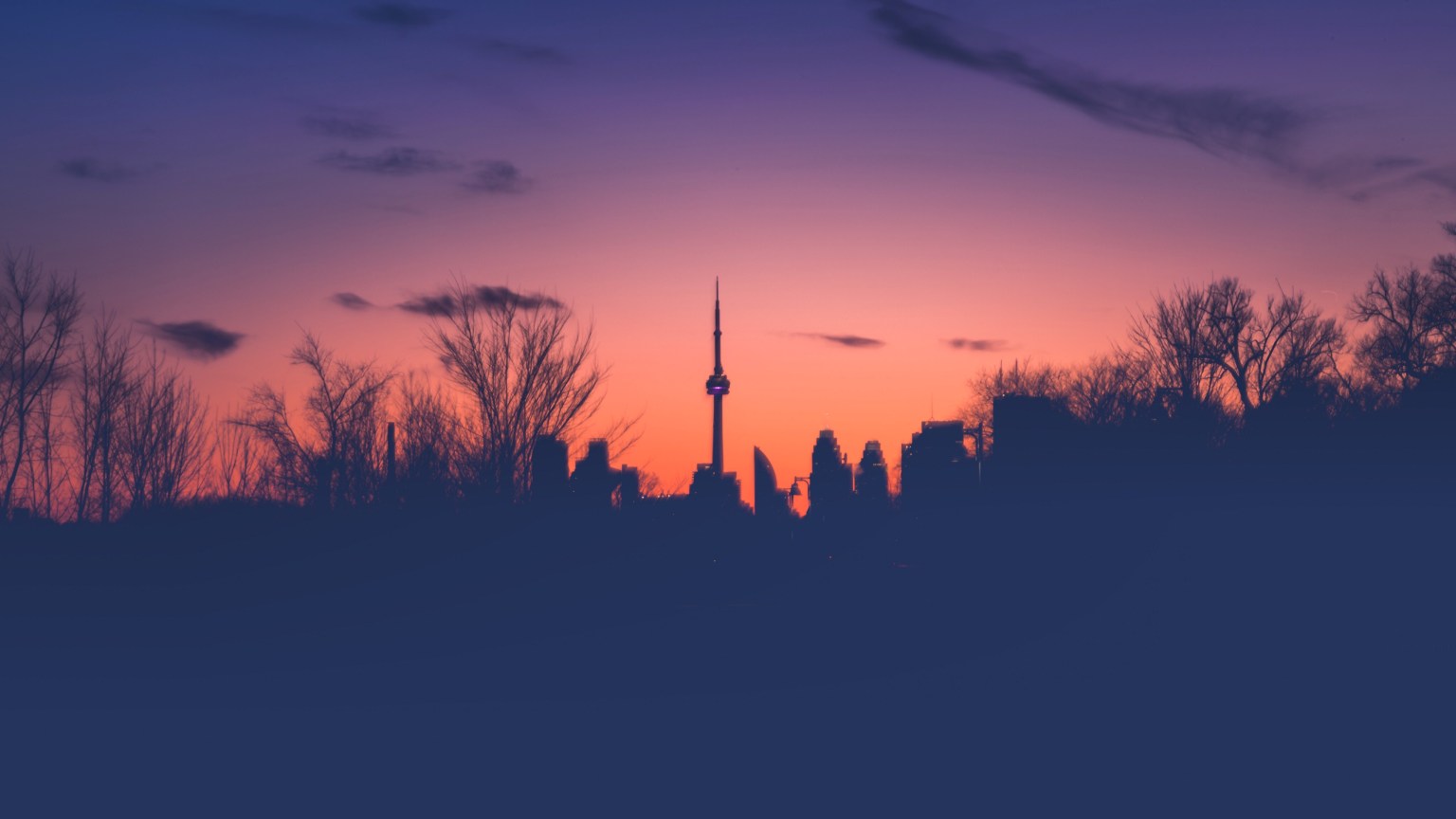 Photography for Beginners - Learn the Basics in This Online Course