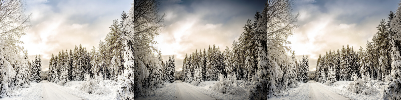 How You Can Use (or Not Use) Vignetting to Transform Your Photography