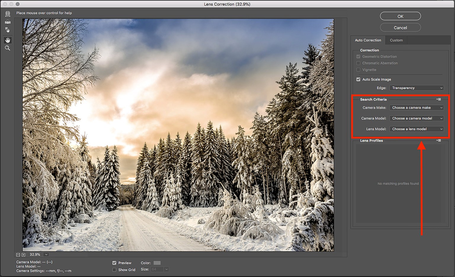 How You Can Use (or Not Use) Vignetting to Transform Your Photography