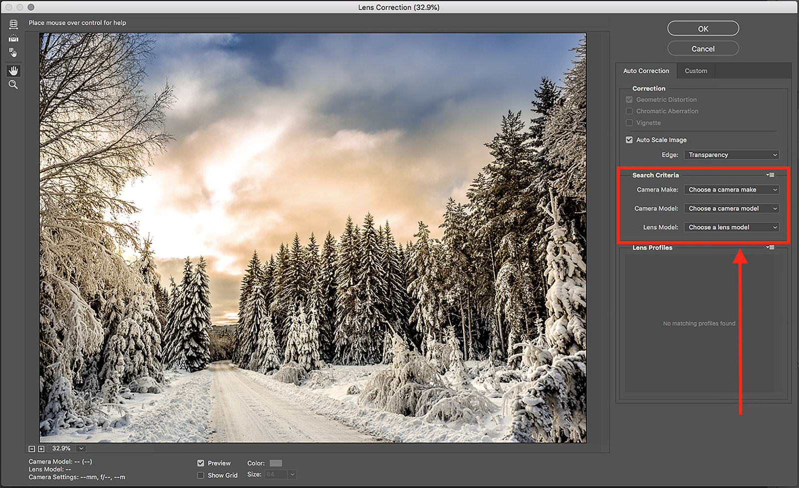 How You Can Use (or Not Use) Vignetting to Transform Your Photography