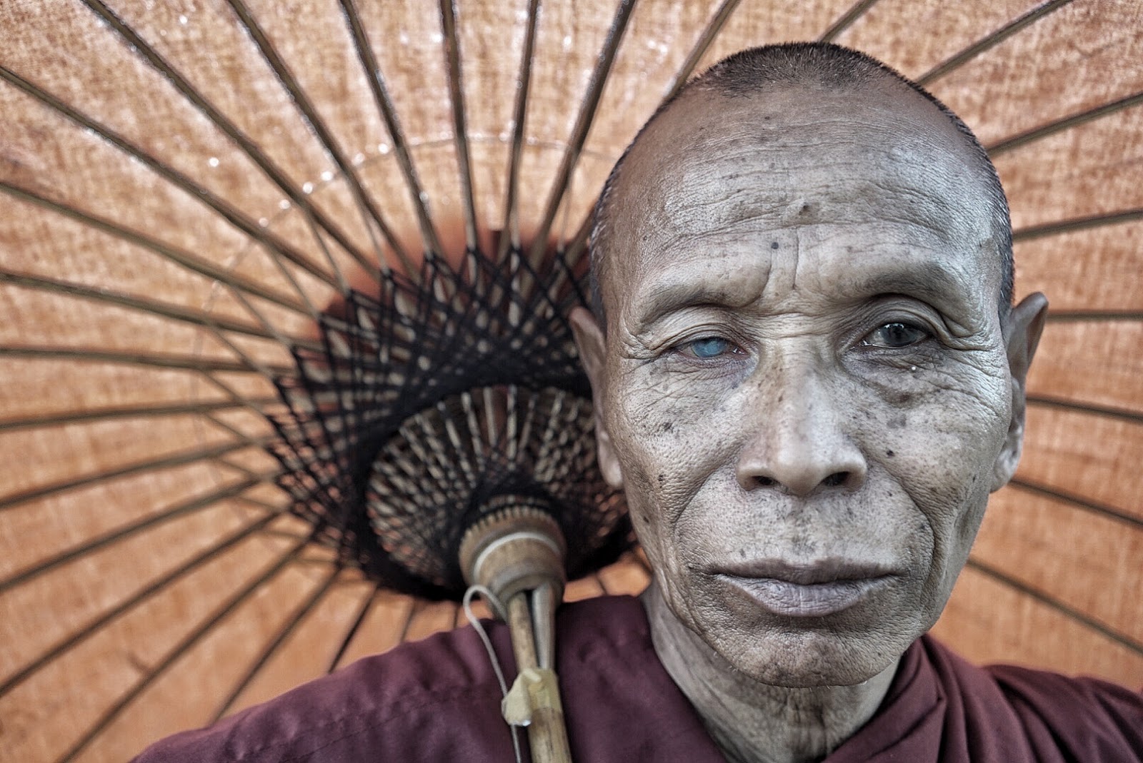 Taylor Rees on Science Photography, Filmmaking, and Sexism