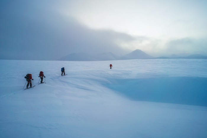 Taylor Rees on Science Photography, Filmmaking, and Sexism