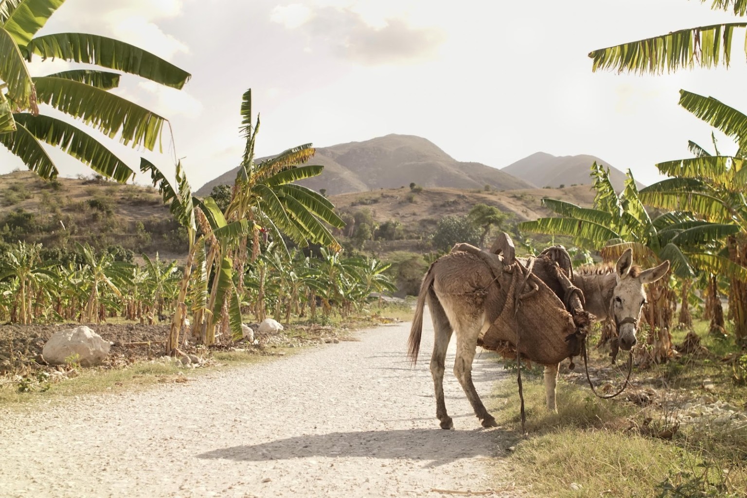 Taylor Rees on Science Photography, Filmmaking, and Sexism