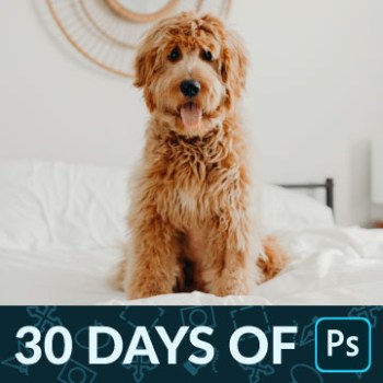 30 Days of Photoshop - PHLEARN