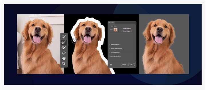 Ultimate Photoshop Comparison: New Updates in CC 2020 Compared to ...