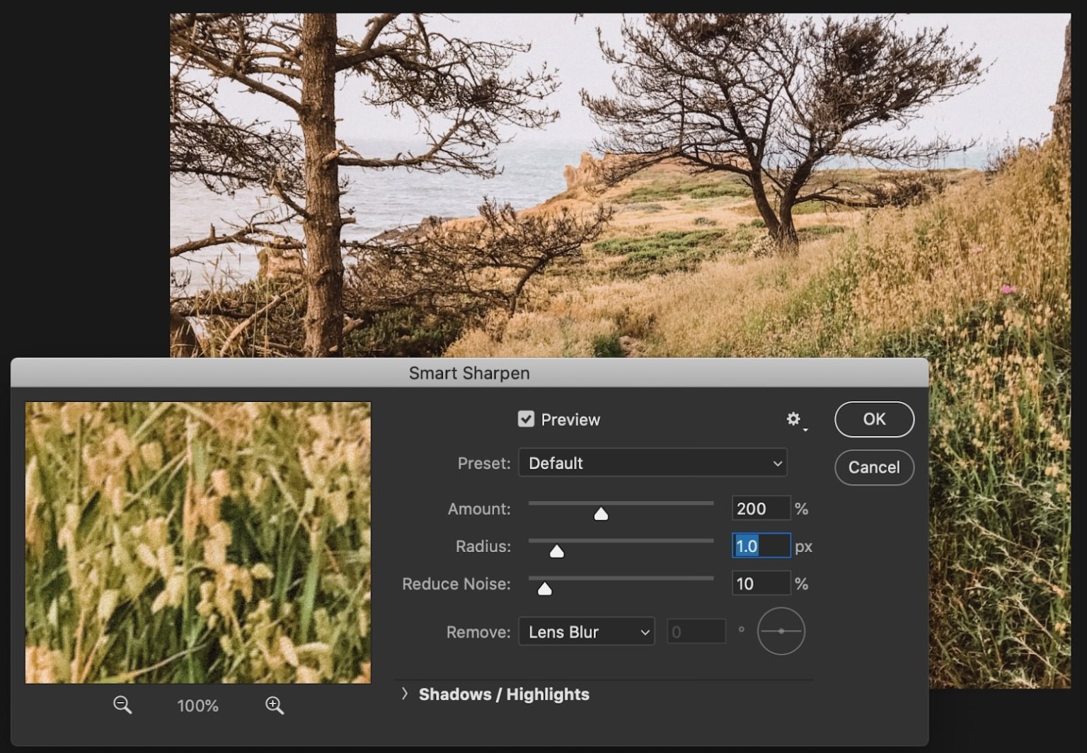 Ultimate Photoshop Comparison: New Updates in CC 2020 Compared to ...