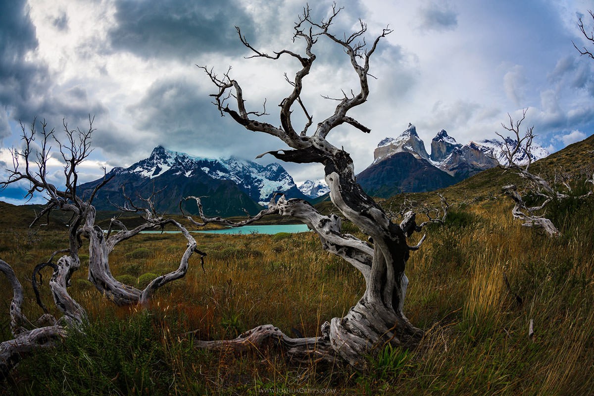 10 Tips for Powerful Landscape Photos with Joshua Cripps - PHLEARN
