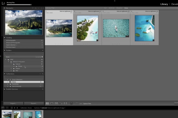 How to Import & Organize Photos in Lightroom Classic - PHLEARN