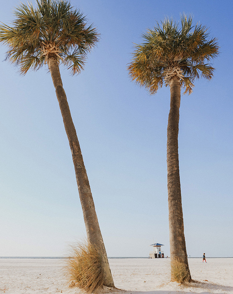 How to Create a Sketch Effect in Photoshop - PHLEARN