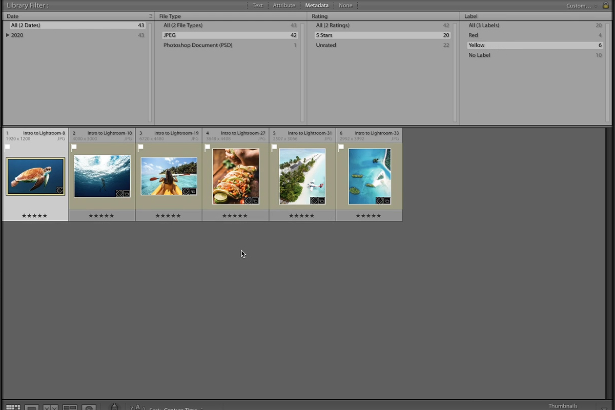 How to Filter & Favorite Images in Lightroom Classic - PHLEARN
