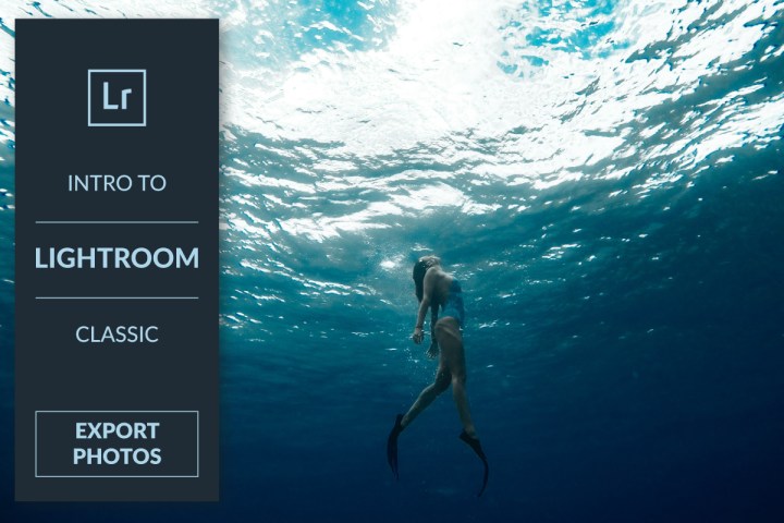 How to Export Photos in Lightroom Classic - PHLEARN