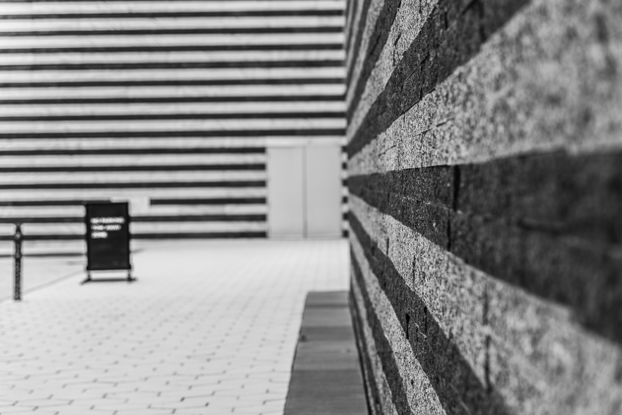 Photography for Beginners - Learn the Basics in This Online Course