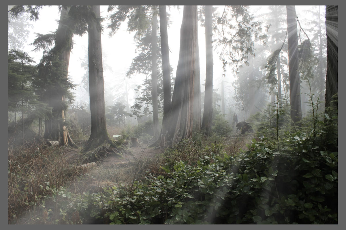 5 Beautiful Effects with Gradients | Sun Flare, Light Rays & Background ...